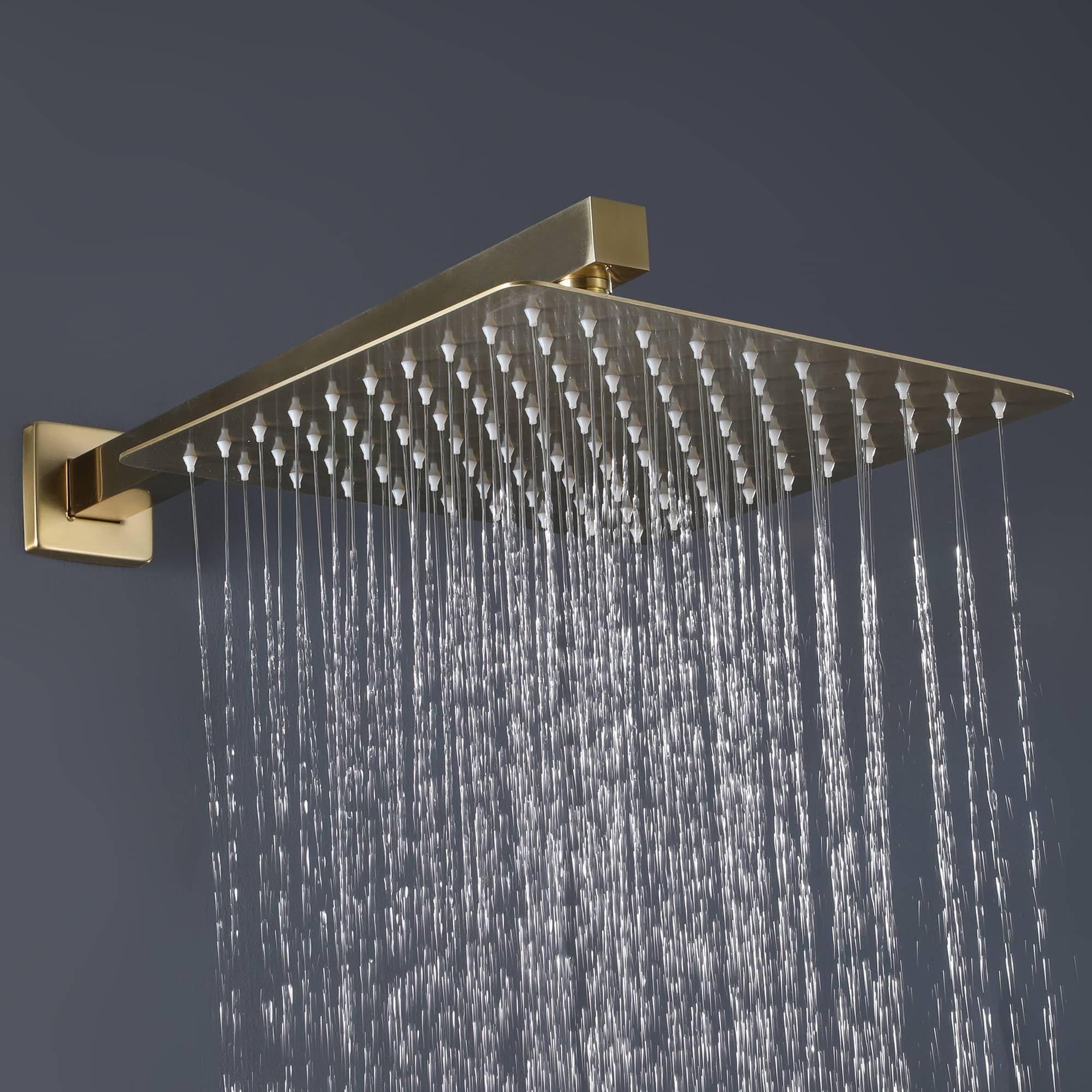 AWZTOO Multi Function Adjustable Shower Head | Wayfair