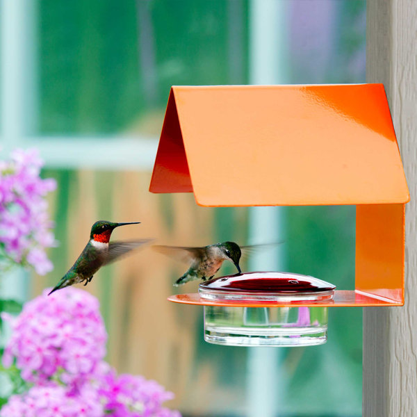 Purple-hummingbird-feeder | Wayfair