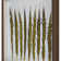 Red Barrel Studio® Pheasant Feather Shadow Box Wall Décor | Wayfair