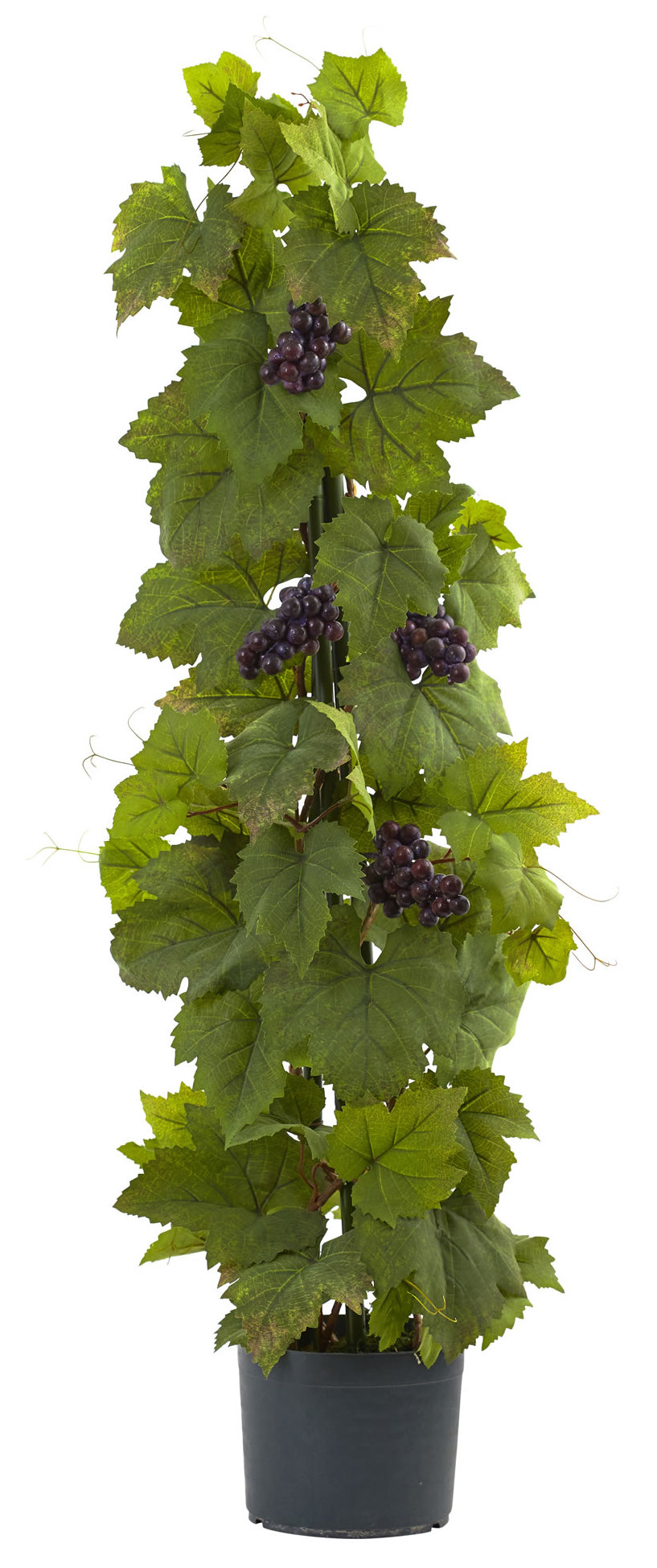Primrue Faux Grapevine Plant in Planter | Wayfair