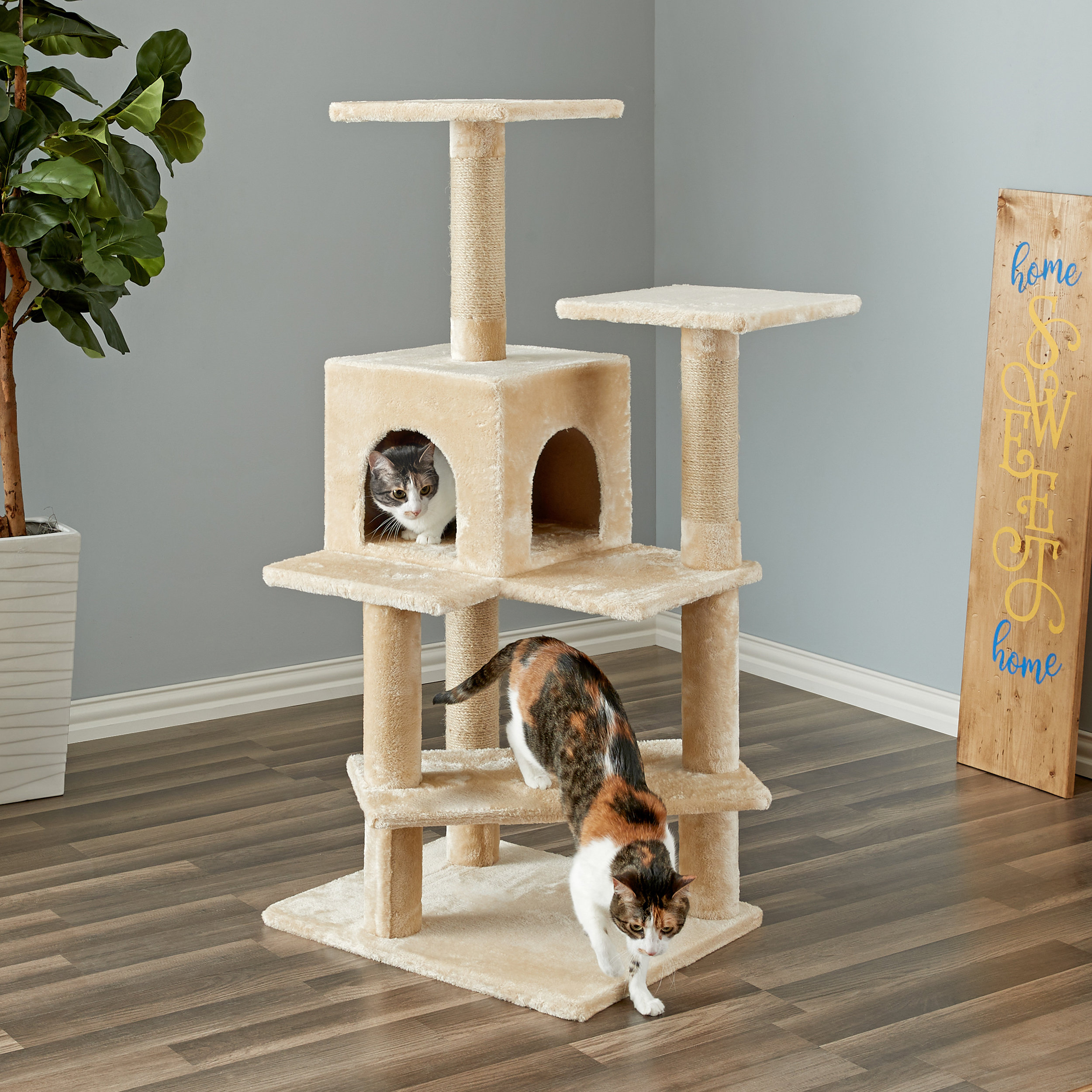 Tucker Murphy Pet™ 51" Wimbled Evergreen Cat Tree | Wayfair