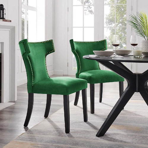 Rosdorf Park Giano Velvet Wing Back Parsons Chair | Wayfair