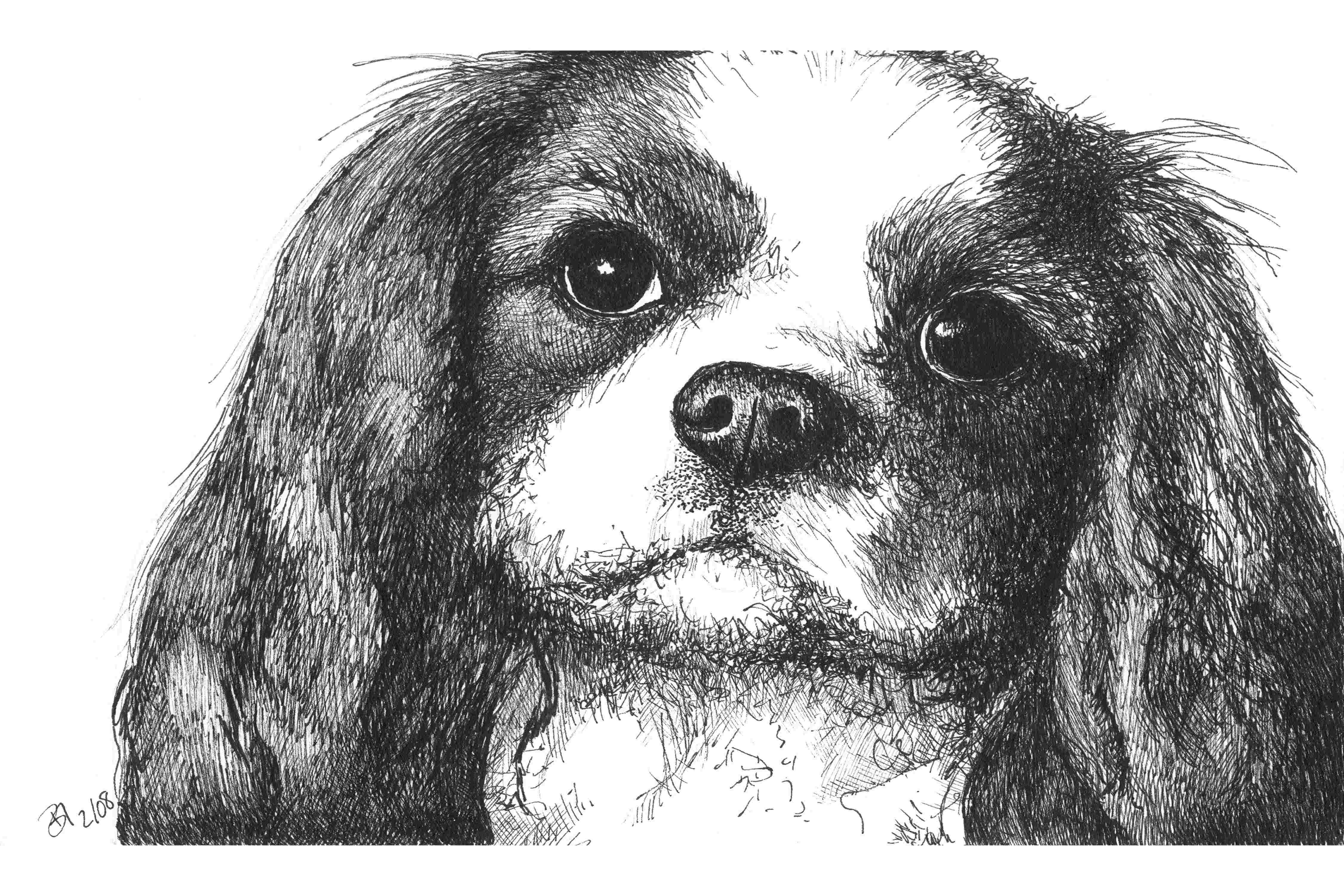 Red Barrel Studio® Beth Thomas - Print on Canvas | Wayfair