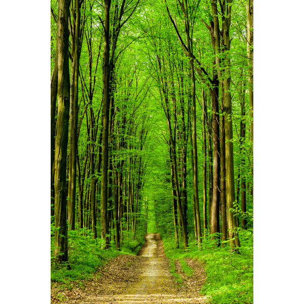 Union Rustic Forest Trees - on | Wayfair.co.uk