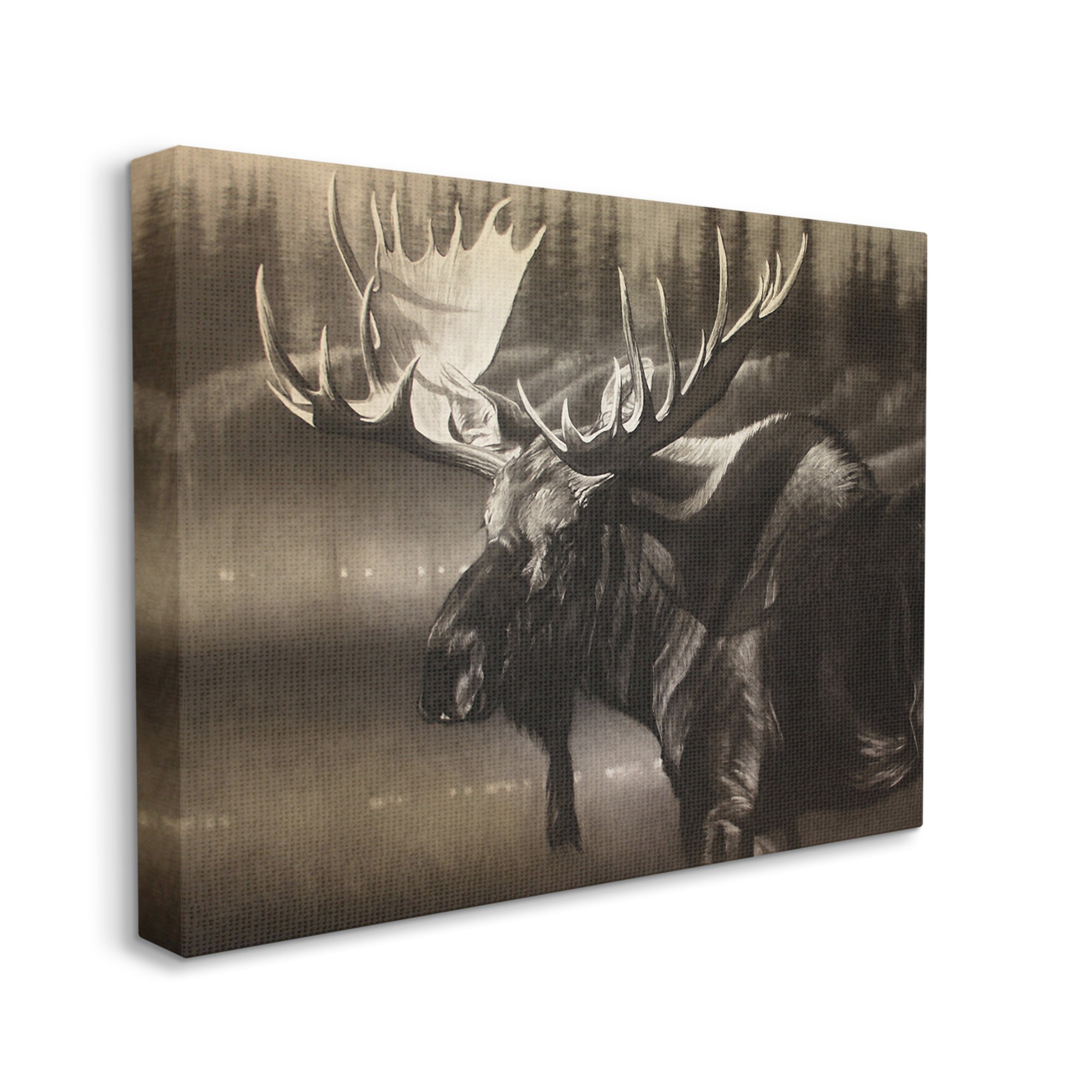 Stupell Industries Rustic Moose In Shadows Deep Forest Portrait by Cole ...