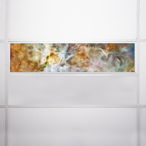 Octo Lights Astronomy Flexible Decorative Light Cover | Wayfair