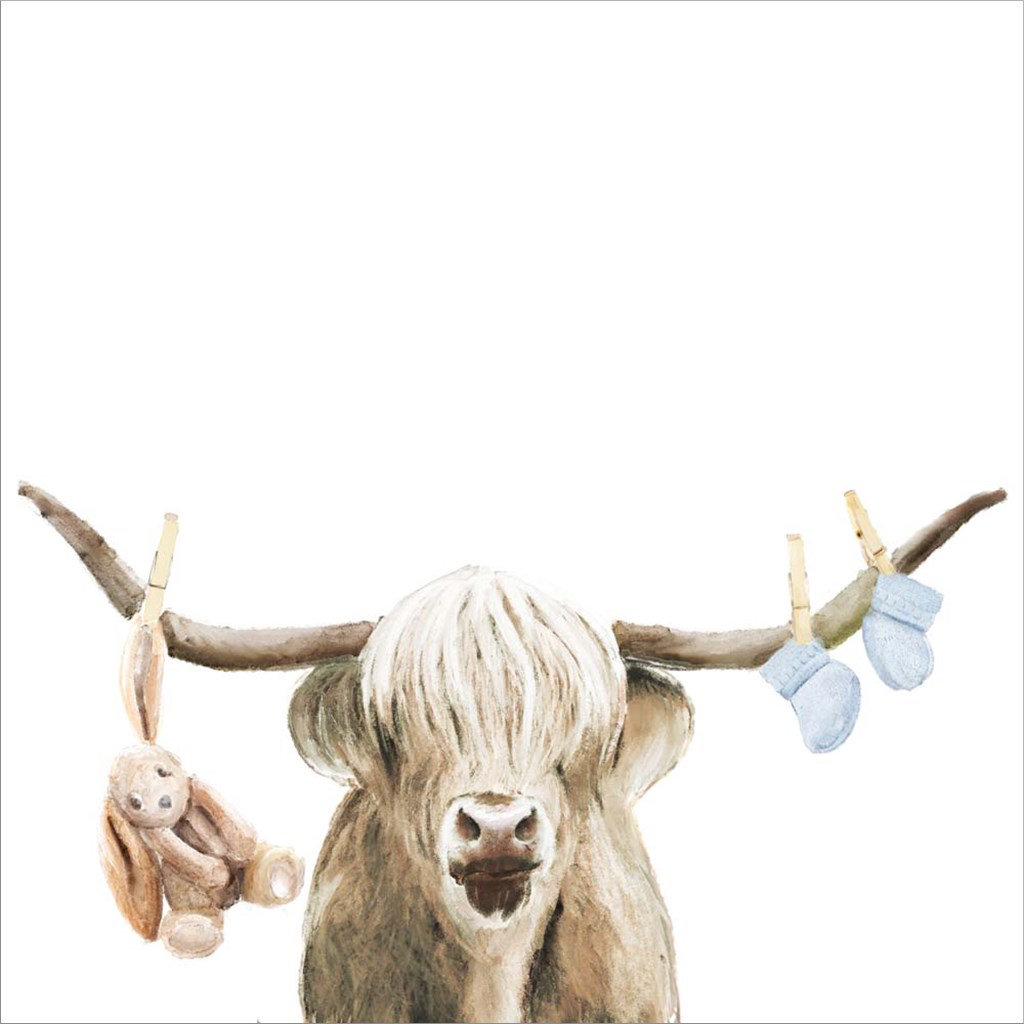 Redwood Rover Highland Cow Baby Boy by - Wrapped Canvas Print | Wayfair