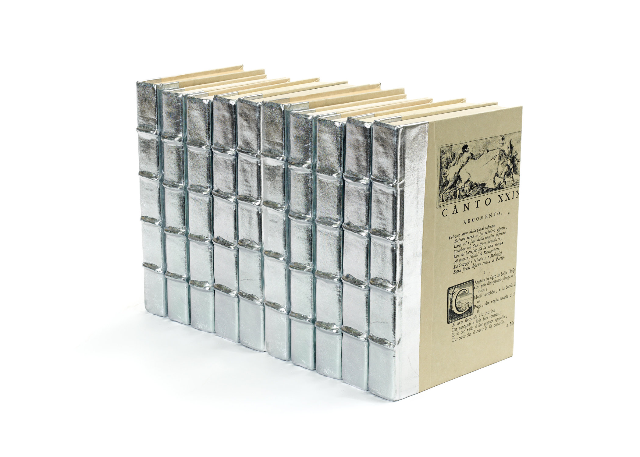 Darby Home Co 10 Piece Silver/Beige Paper Metallic Decorative Book Set ...