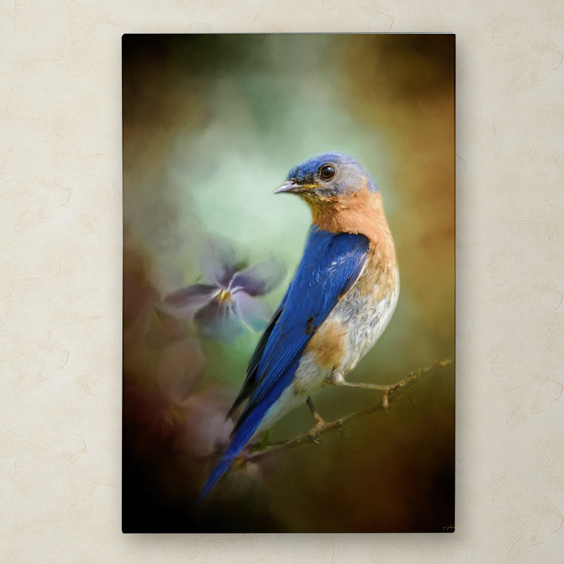 Trademark Art 'Portrait of a Bluebird' Graphic Art Print on Wrapped ...