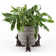 Brambly Cottage Kinley Planter Feet | Wayfair.co.uk