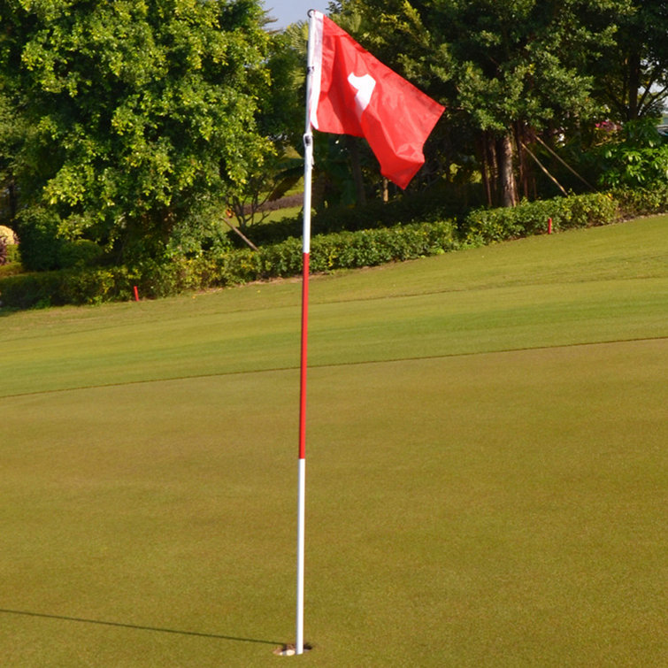 Boshen 15' x 1' Nylon Golf Hole Pole Cup Set | Wayfair