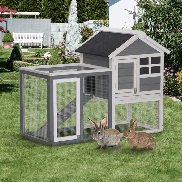 Tucker Murphy Pet™ Aayush Weather Resistant Rabbit Hutch with Ramp ...