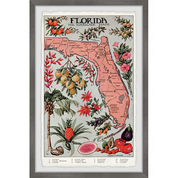 Bay Isle Home Florida, The Everglade State III - Picture Frame Graphic ...