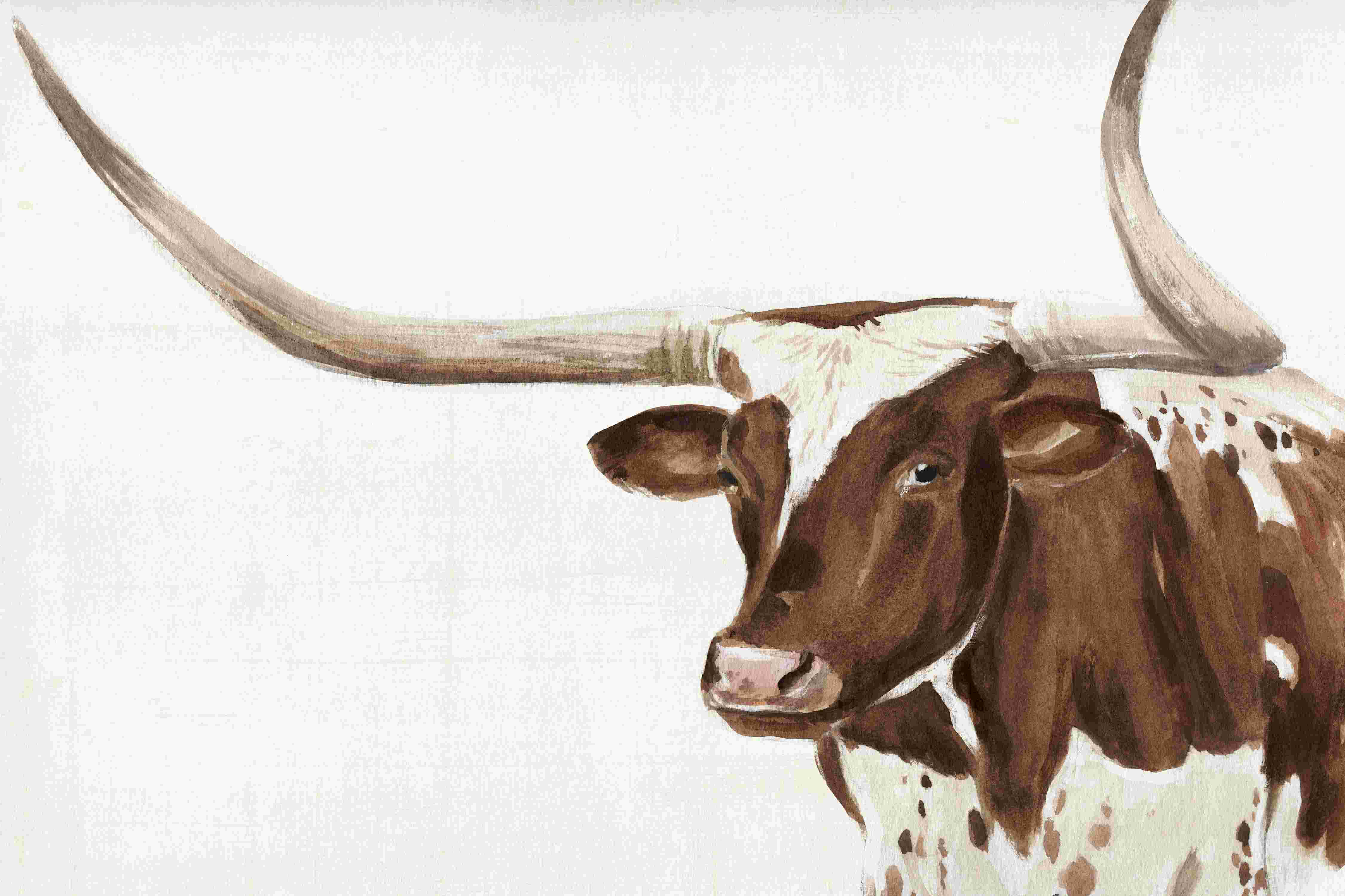 Union Rustic Spotted Steer III - Wrapped Canvas Painting | Wayfair