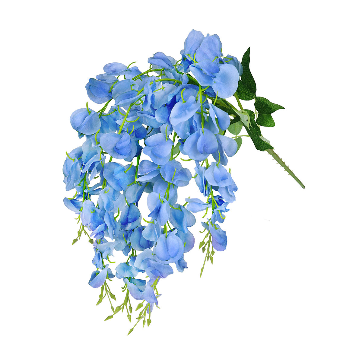 Primrue Hanging Wisteria Bush | Wayfair