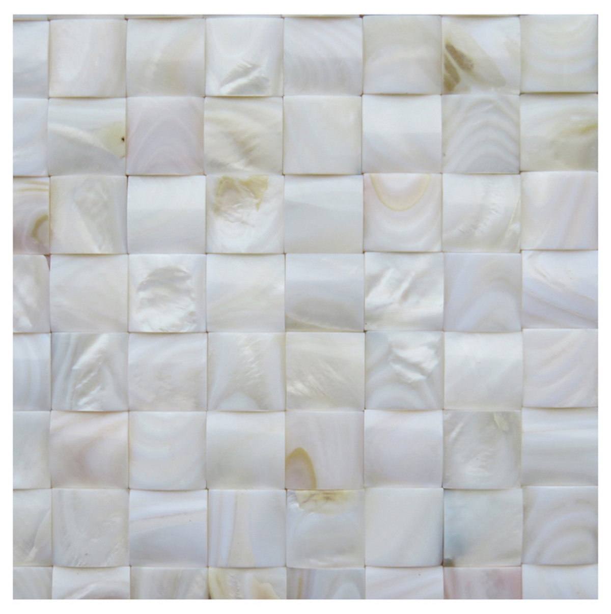 NovoTileStudio Livorno 0.8" x 0.8" Seashell Grid Mosaic Wall Tile | Wayfair
