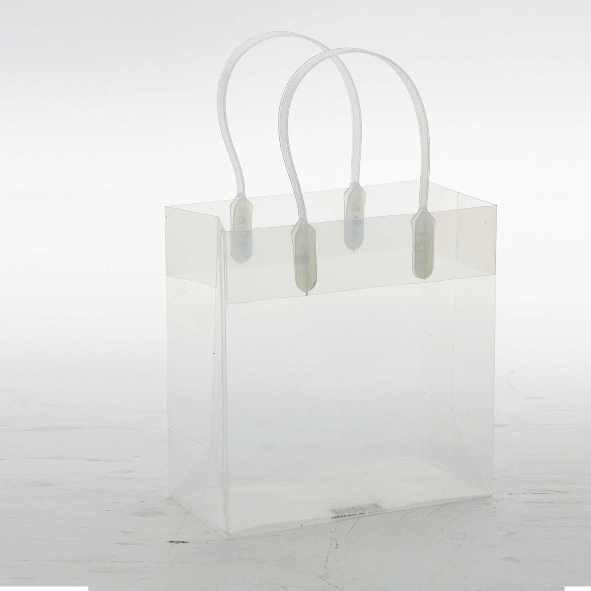 Bala Plastic Disposable Gift Bag | Wayfair