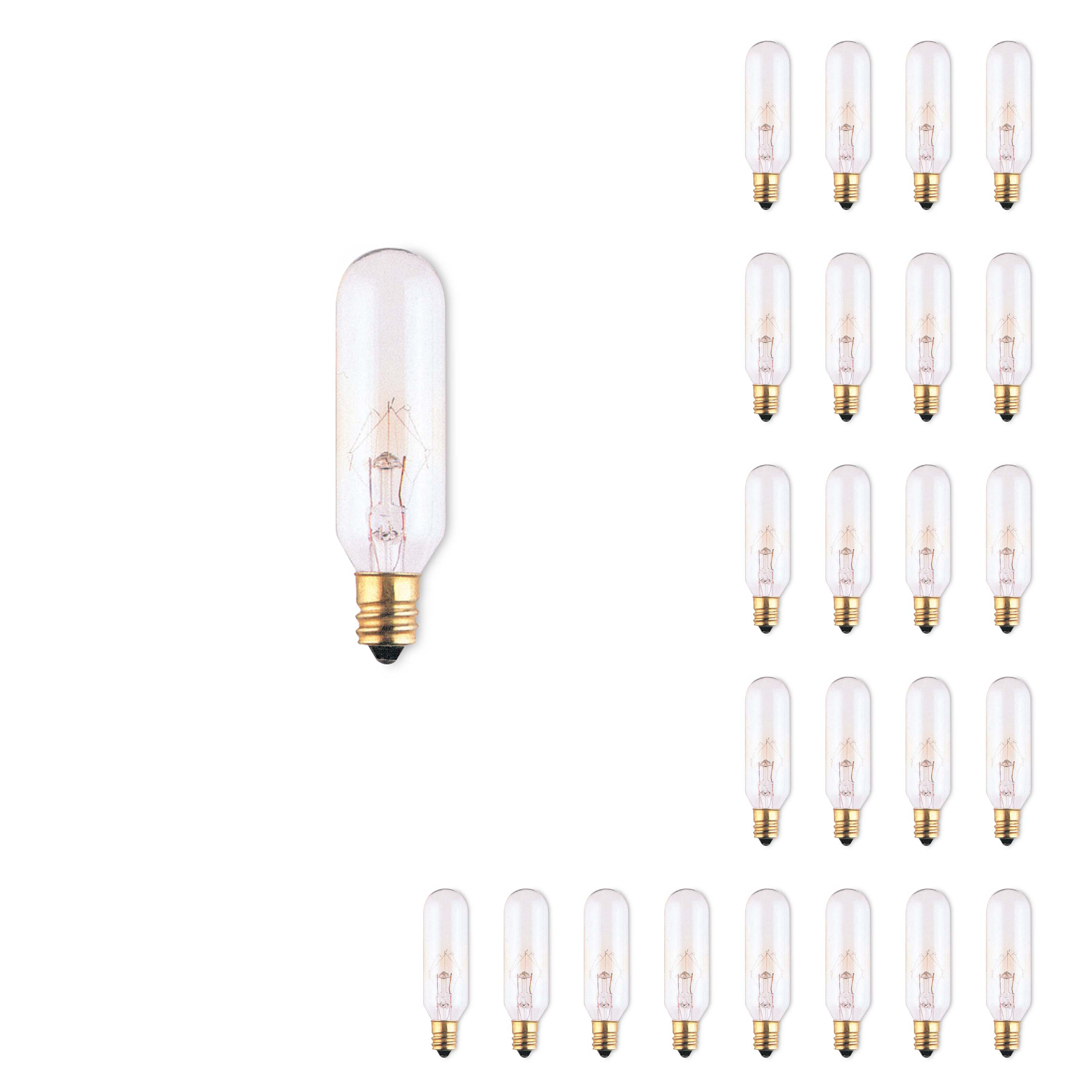 Bulbrite Industries 25 Watt T6 Incandescent, Dimmable Light Bulb ...
