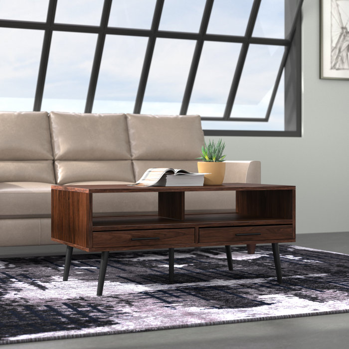 Wade Logan® Annaston Contemporary 2-Drawer Low Coffee Table & Reviews ...