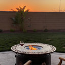 Ebern Designs Sorrels 23'' H x 48'' W Aluminum Propane Outdoor Fire Pit ...