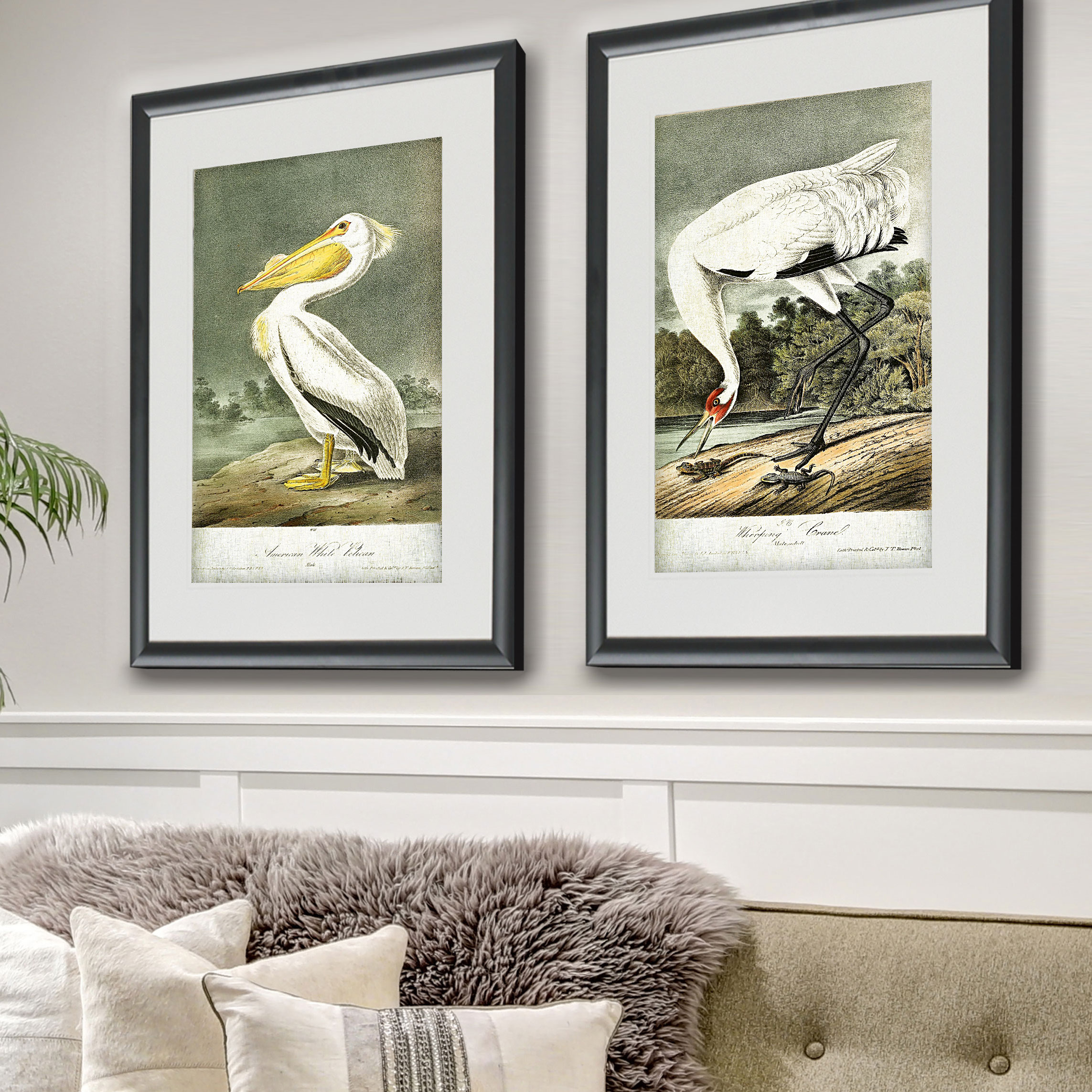 Highland Dunes Vintage Aviary Sketch III - 2 Piece Set | Wayfair