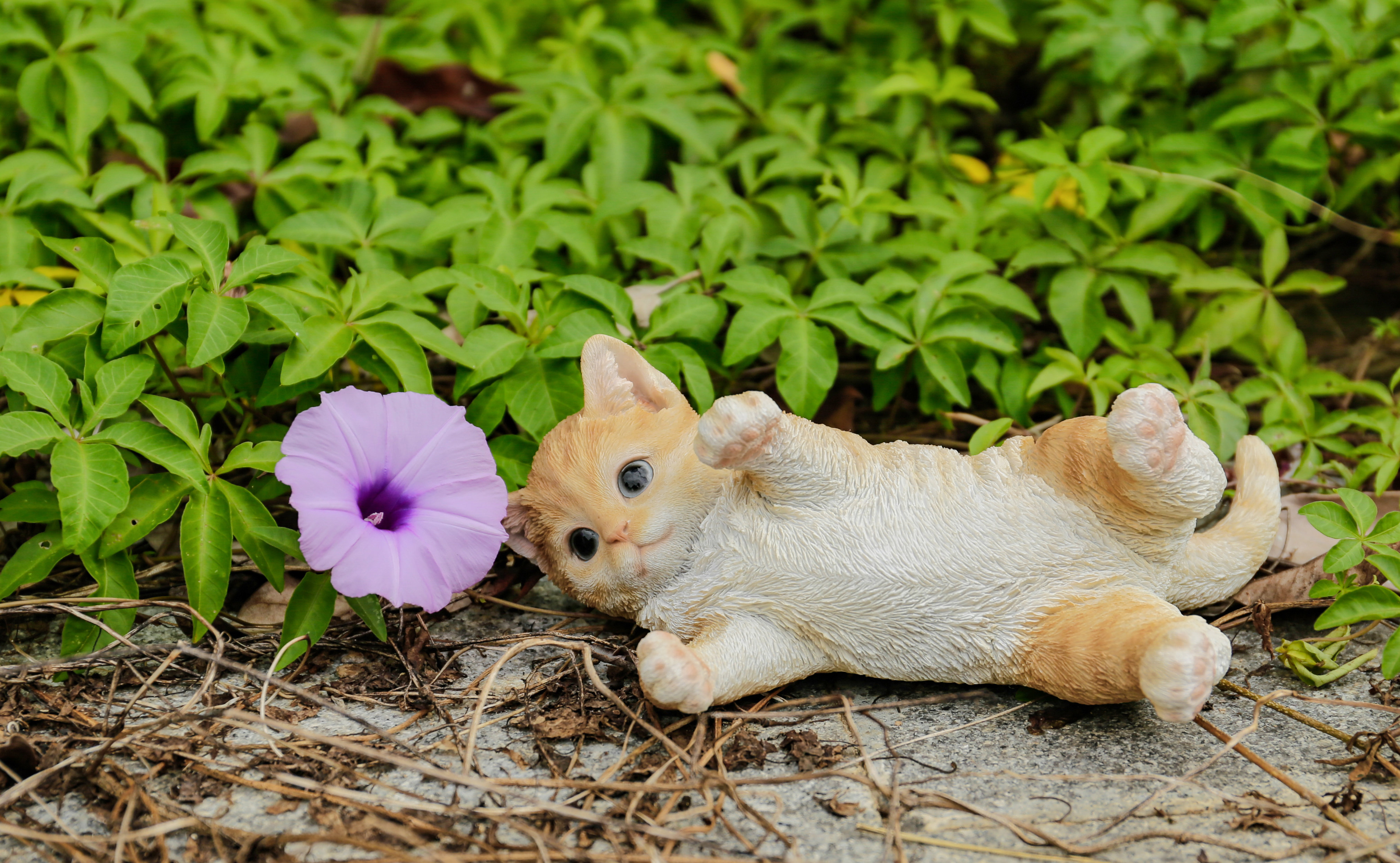 Hi-Line Gift Ltd. Lying Cat | Wayfair