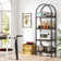 17 Stories 4 Tiers Shelving Racks | Wayfair