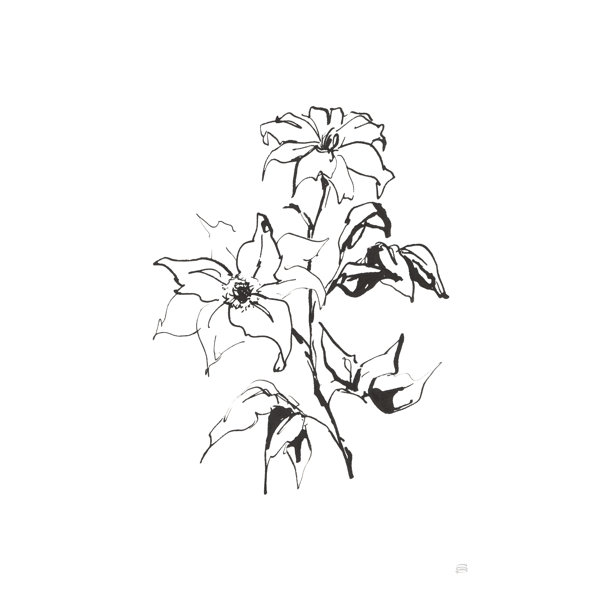 Red Barrel Studio® Line Clematis by Chris Paschke - Wrapped Canvas ...