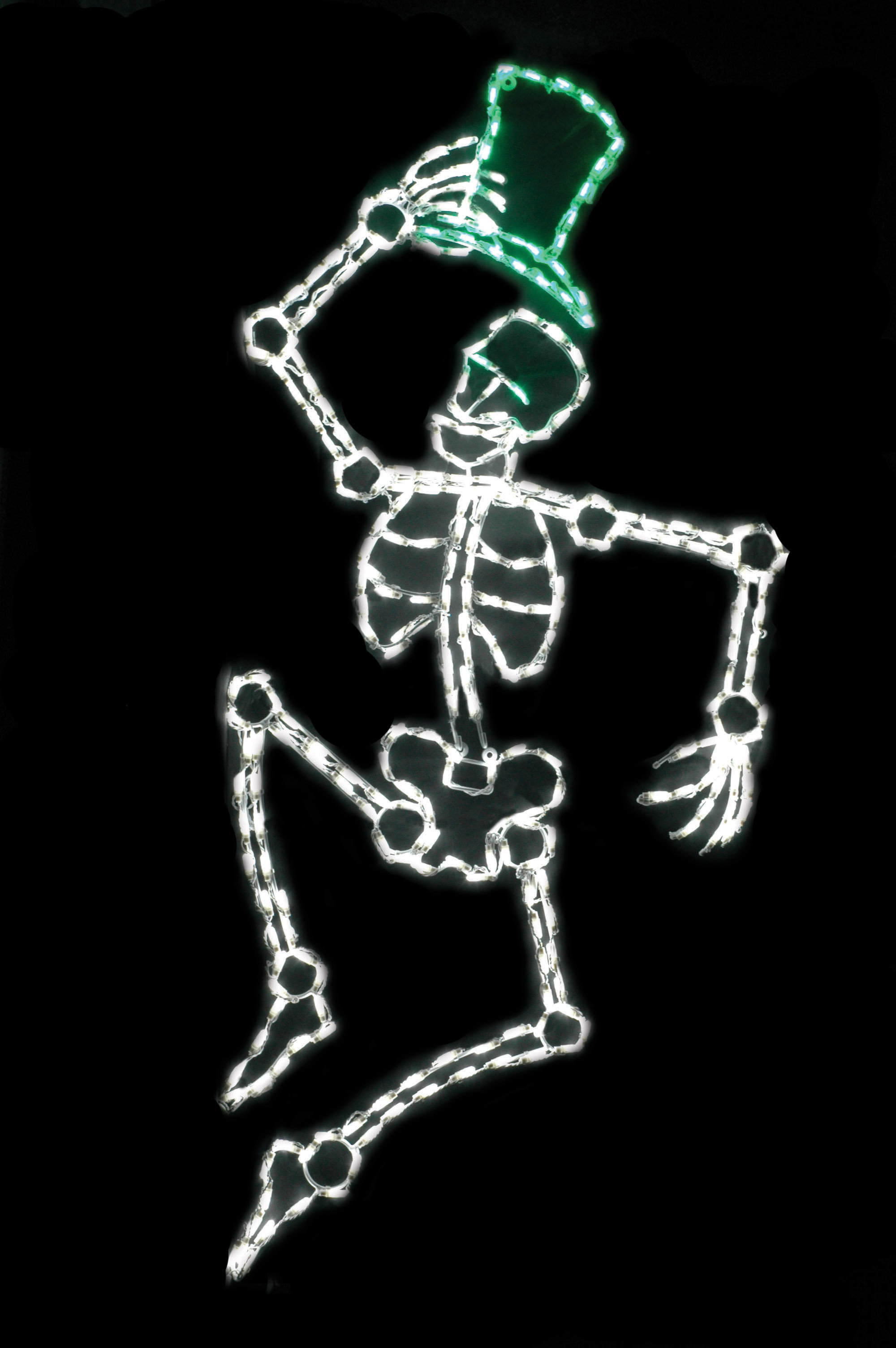 Brite Ideas Dancing Skeleton LED Lighted Display | Wayfair