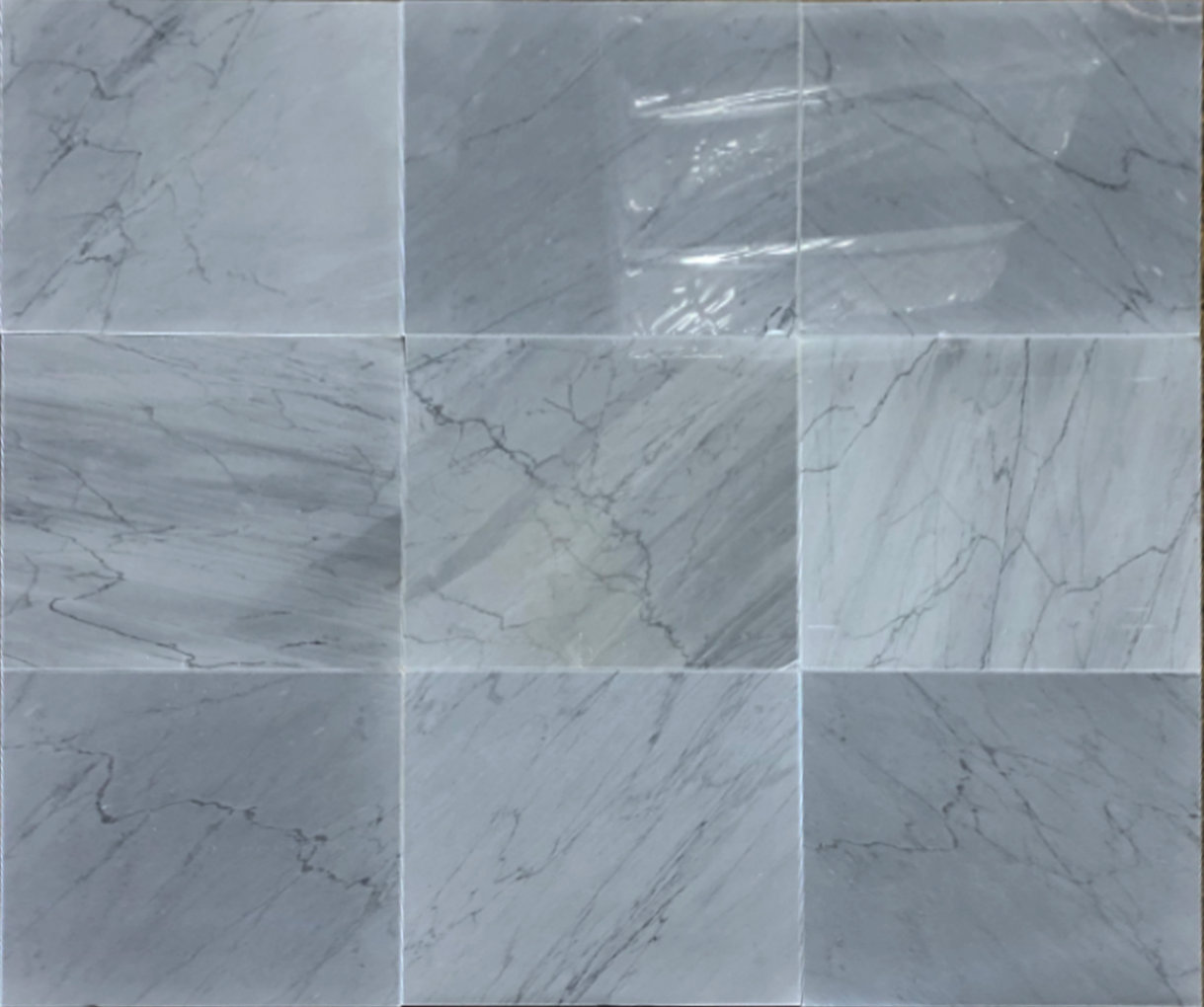 Stone & Tile Shoppe, Inc. 12" x 12" Marble Marble Look Wall & Floor ...