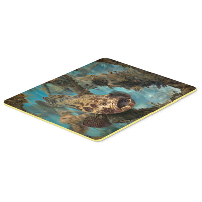 Swimming Pool Foam Floats | Wayfair