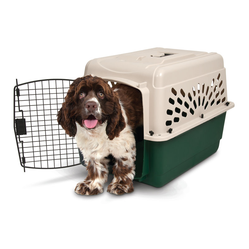 Ruff Maxx Plastic Dog Pet Carrier & Reviews | Wayfair