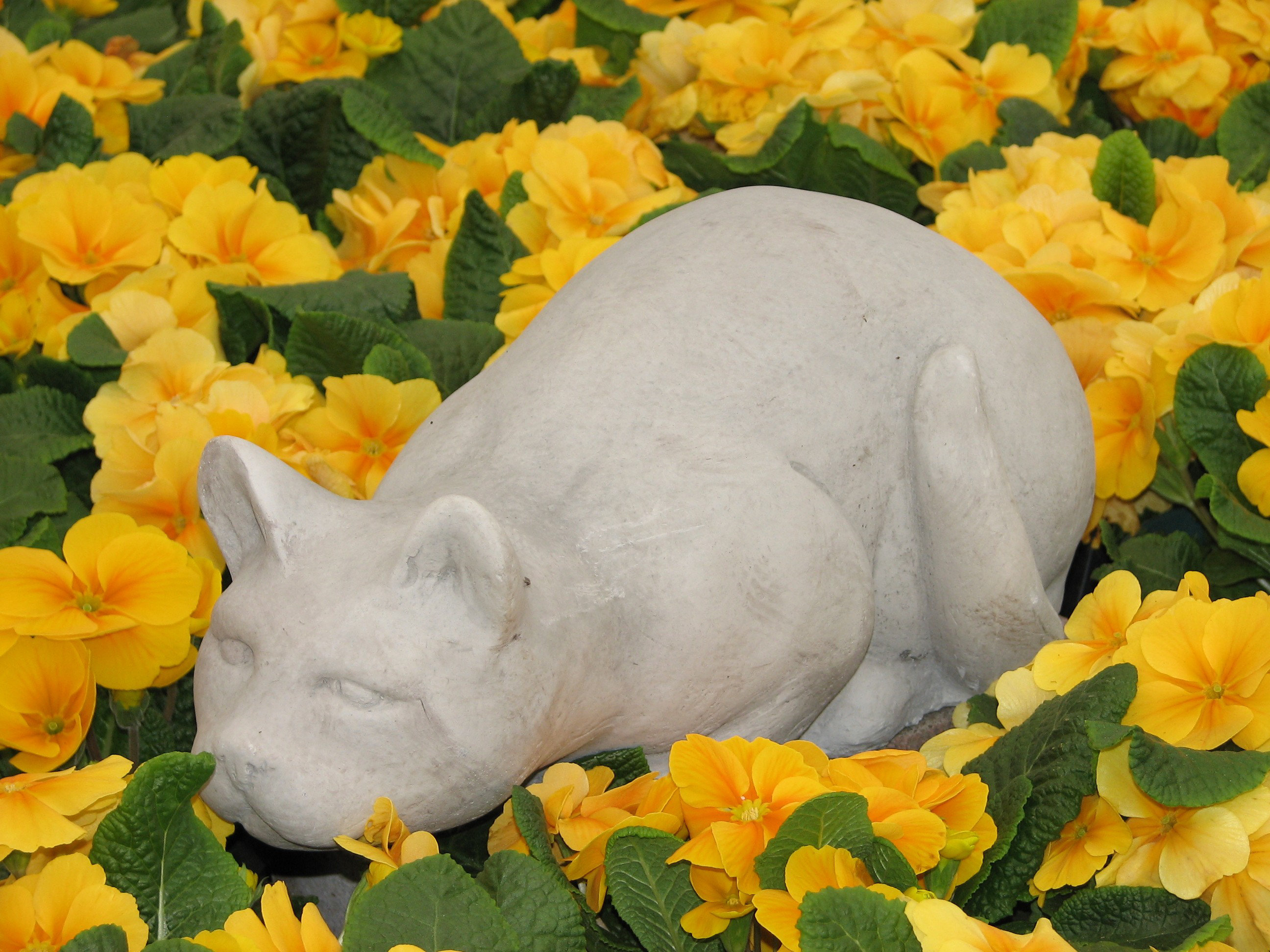 Nichols Bros. Stoneworks Classic Crouching Cat Statue | Wayfair