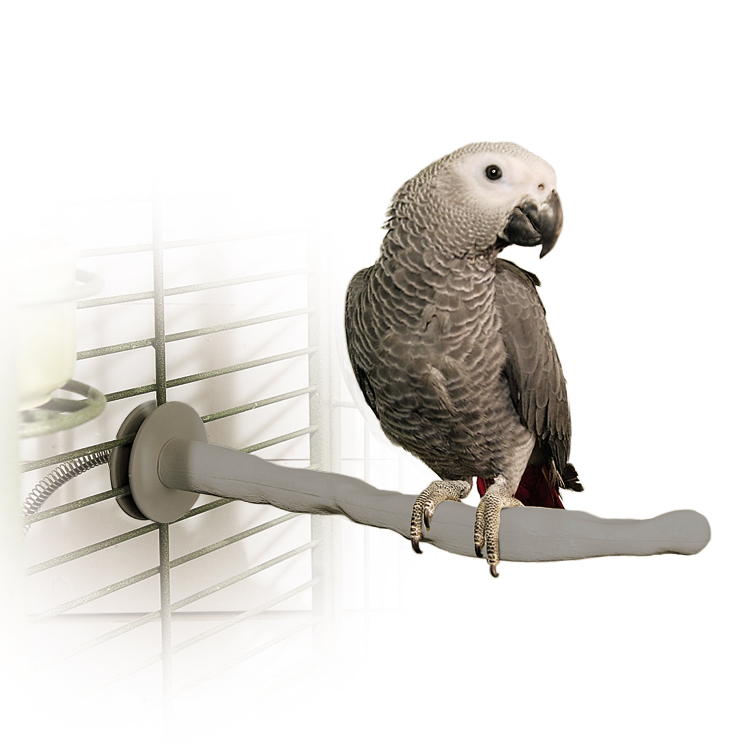 K&H Manufacturing Metal Bird Perch for Inside Cage & Reviews | Wayfair