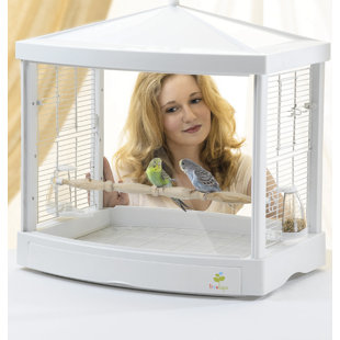 Wayfair | Table Top Bird Cages You'll Love in 2022