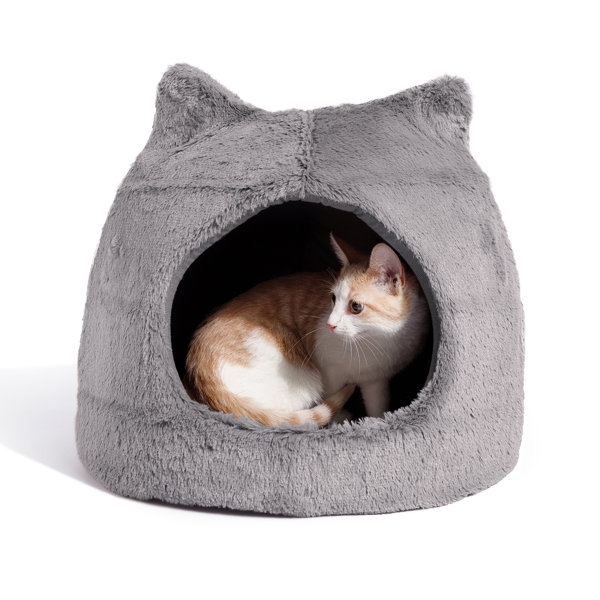 Cat Hut | Wayfair