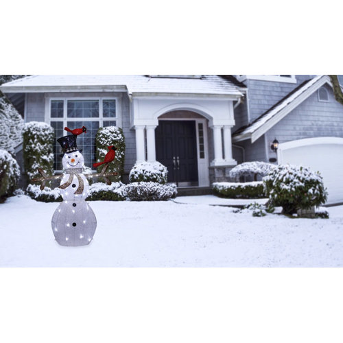 The Holiday Aisle® Snowman Lighted Display & Reviews | Wayfair