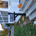 Special Lite Products Hummingbird Post Mounted Mailbox & Reviews | Wayfair