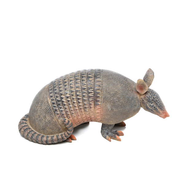 Design Toscano Tank the Armadillo Garden Statue & Reviews | Wayfair