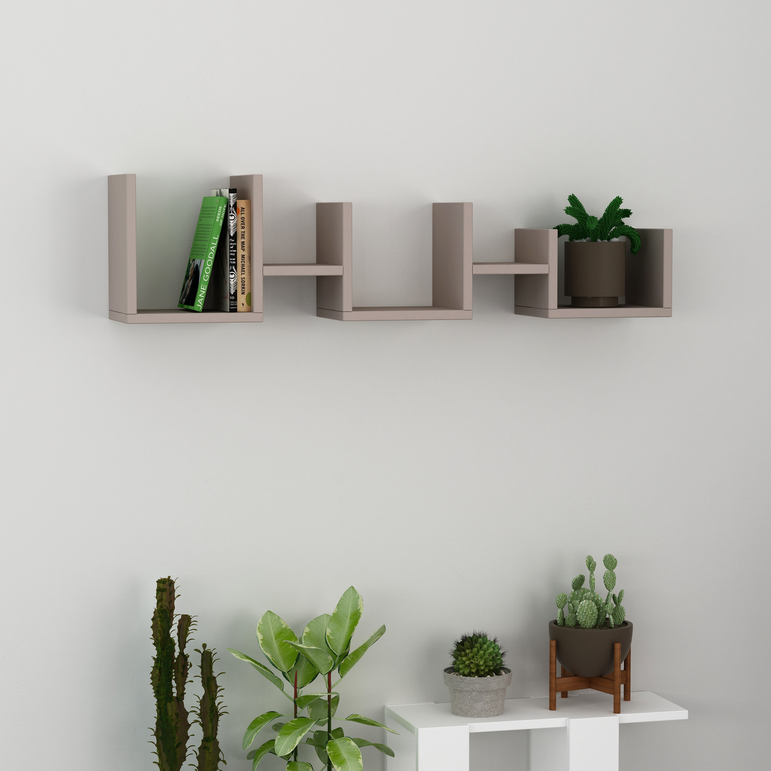 Latitude Run® Myrtle Avenue Wall Shelf | Wayfair