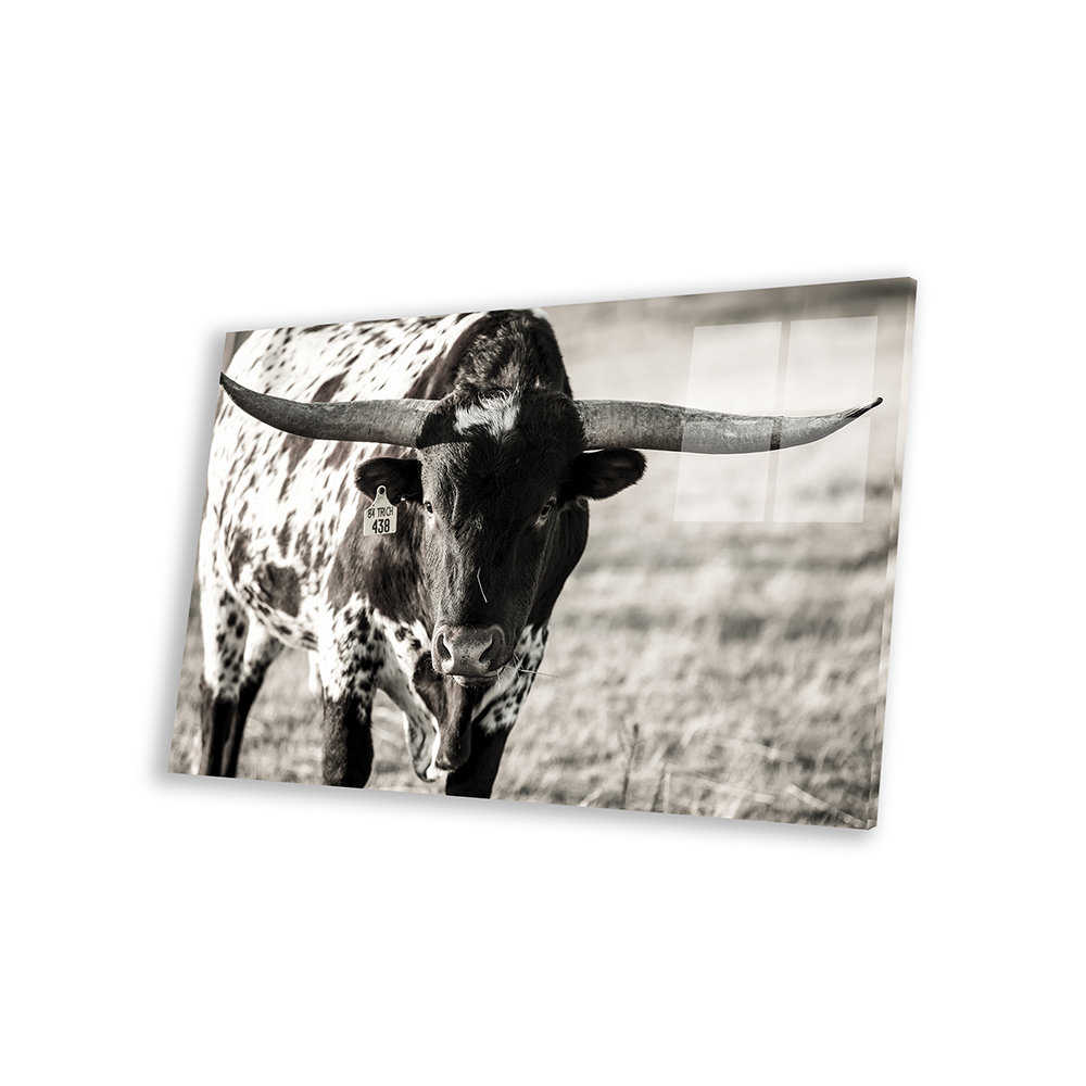 Union Rustic Longhorn Portrait by - Unframed Graphic Art | Wayfair