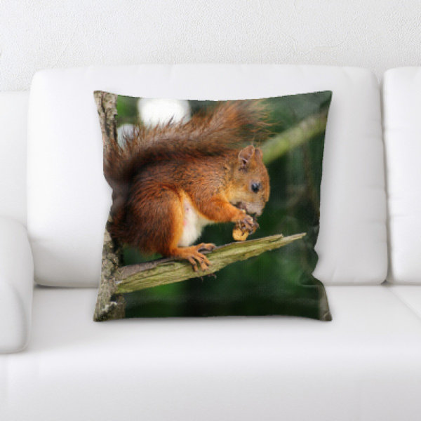 Squirrel-pillow | Wayfair