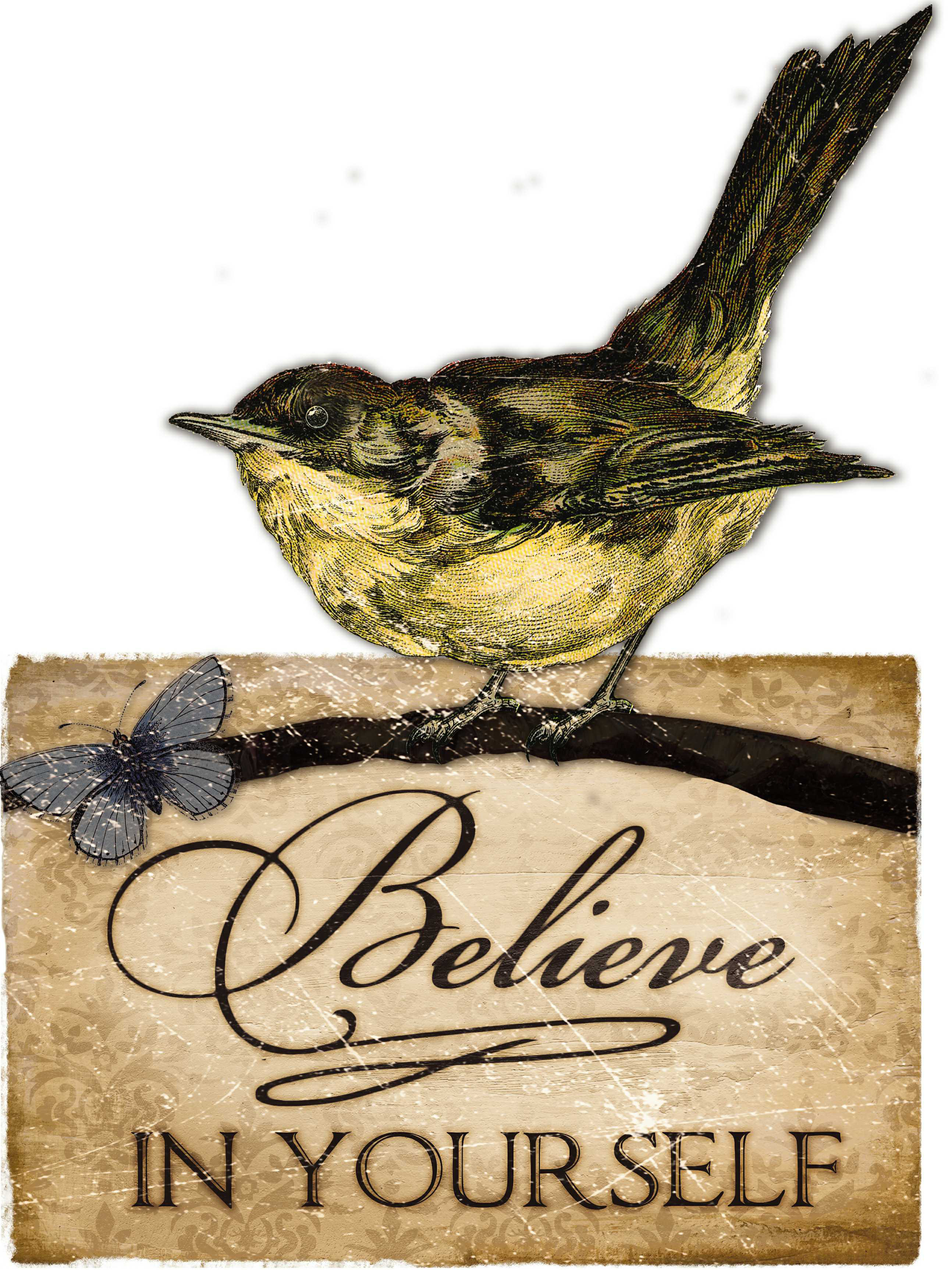 Wildon Home® Bird Inspiration | Wayfair