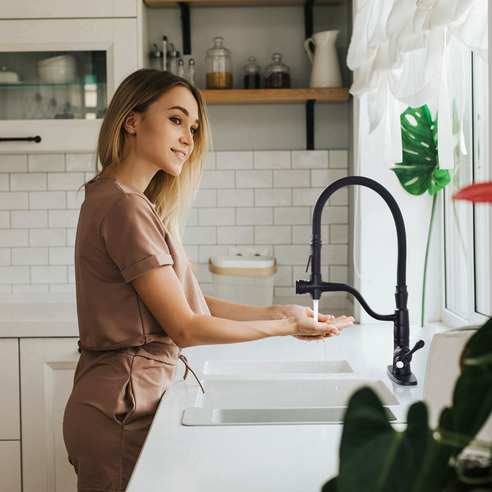 Aleasha Pull Down Touch Kitchen Faucet | Wayfair