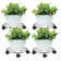 Arlmont & Co. Movable Iron Cast Plant Stands | Wayfair