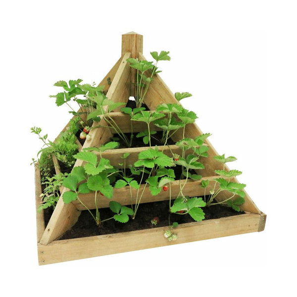 Gracie Oaks Square Vegetable Garden Pyramid 80 Cm | Wayfair.co.uk