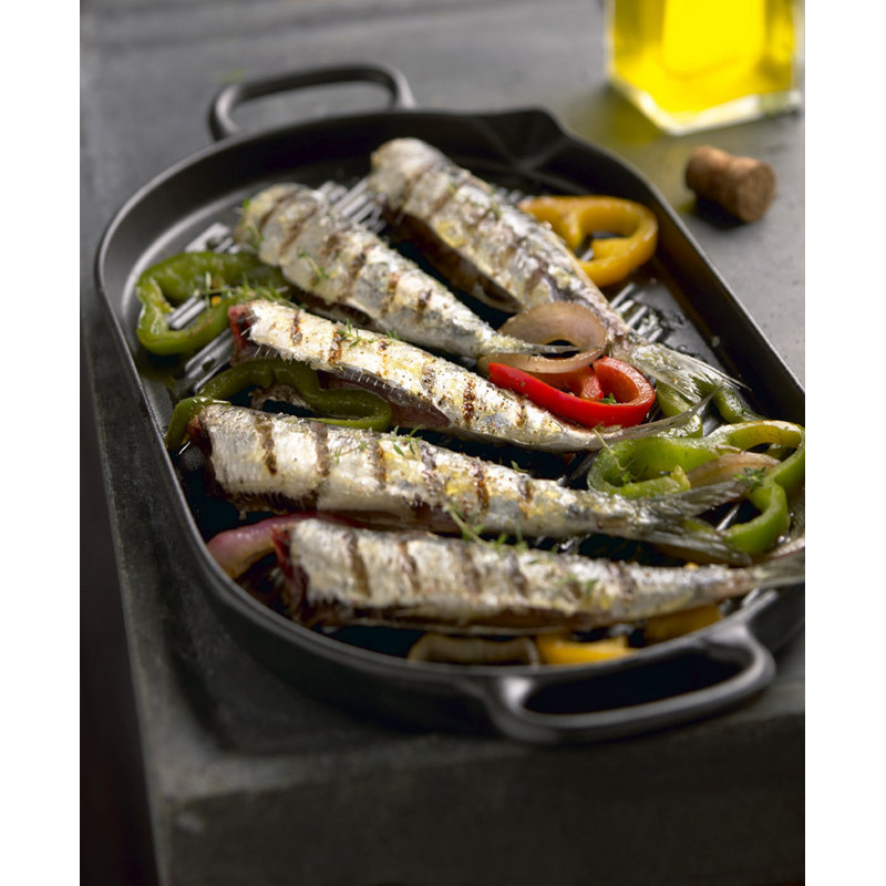 Chasseur 9" Cast Iron Grill Pan & Reviews | Wayfair