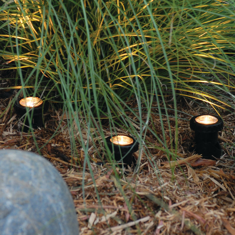 Pond Boss LED Well Light | Wayfair