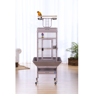 Wayfair | Large Bird Cages