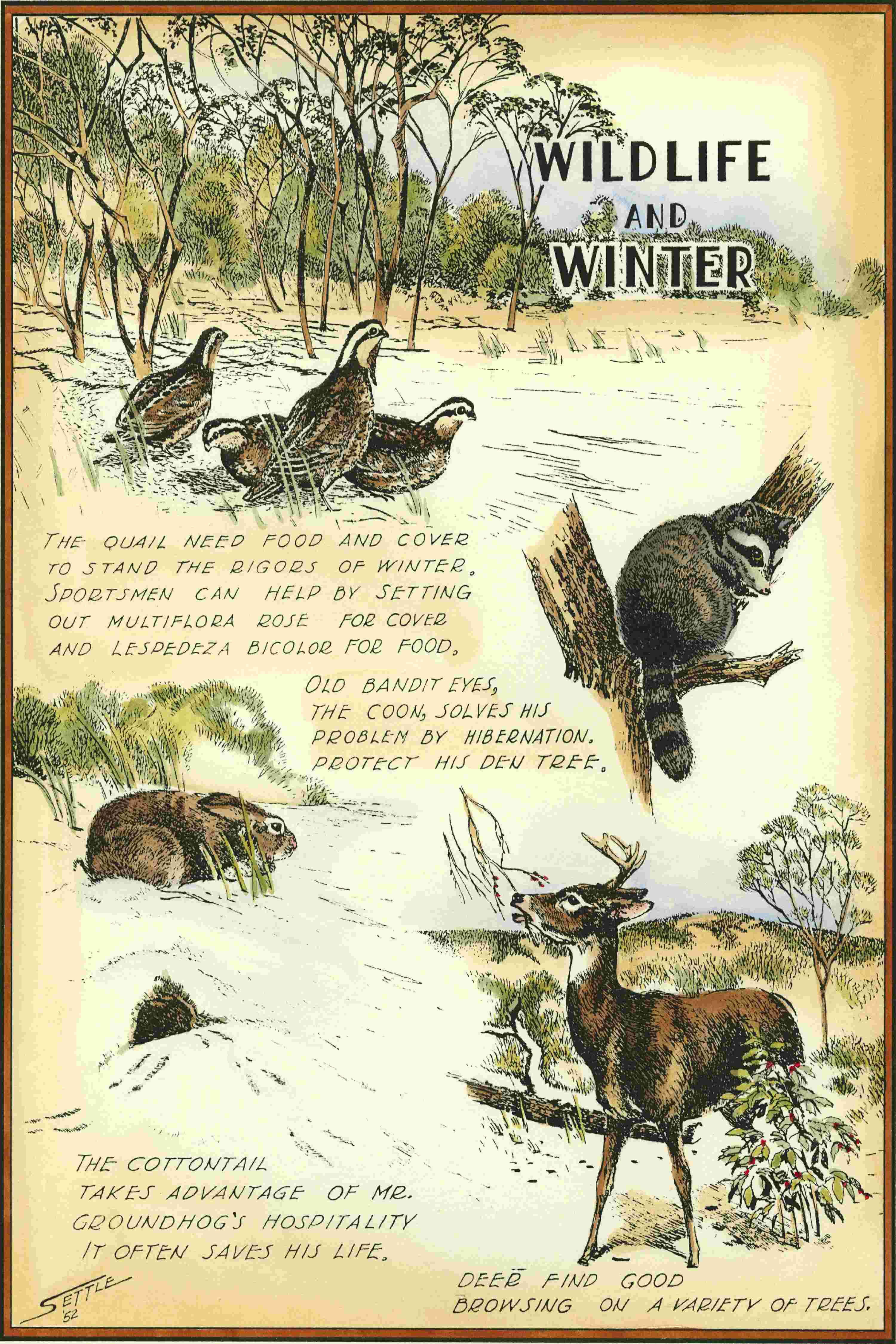 Loon Peak® Wildlife by Robert Settle - Wrapped Canvas Print | Wayfair